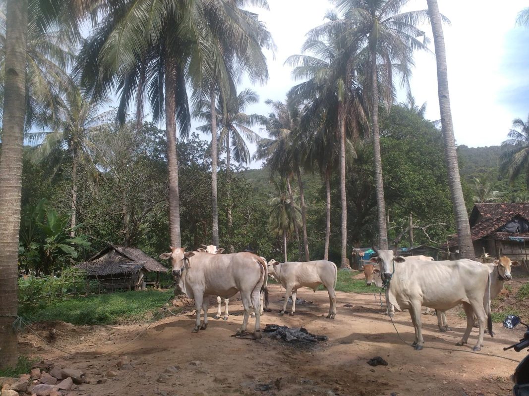 Stage Indonesië - De Kracht van Sport